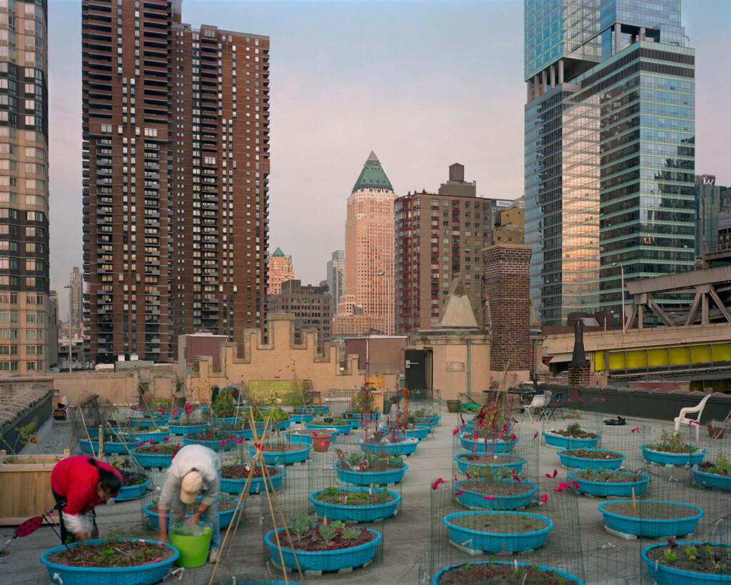 allcitiesarebeautiful.com → [ 033 ] Rob Stephenson, From Roof to Table
